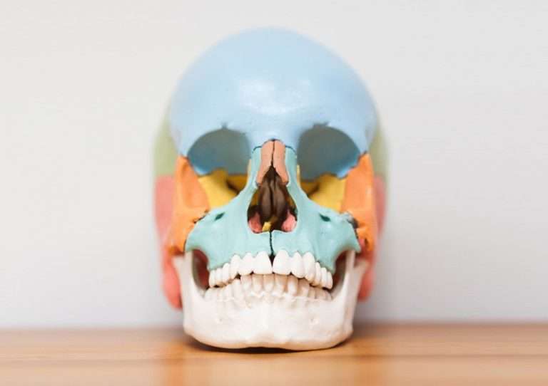 What is SOT – SOT Europe