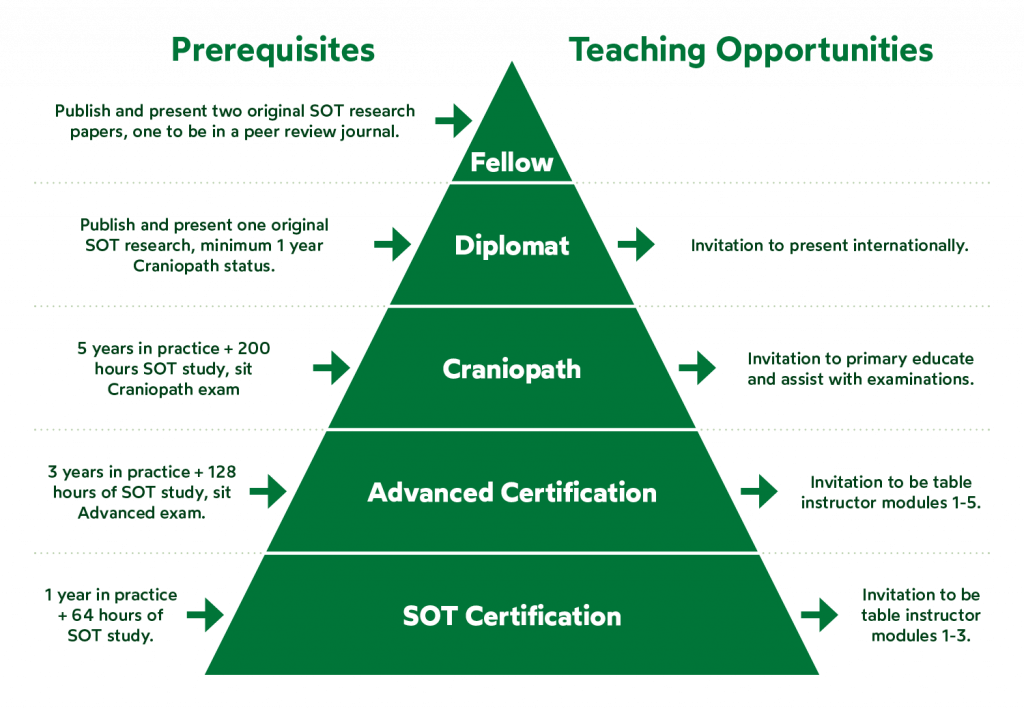 Membership – SOT Europe